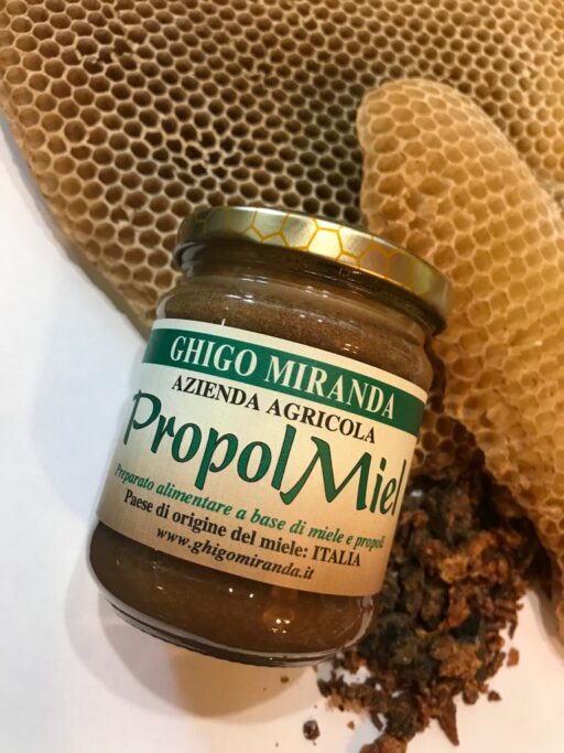 Propol Miel 250g - ghigomiranda